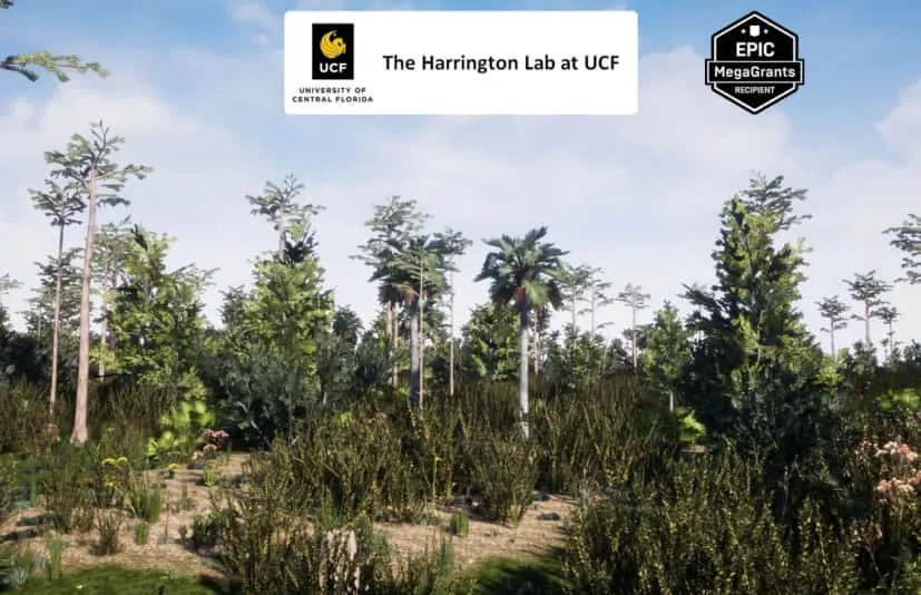 盆地沼泽生境灌木刷子 Basin Swamp Habitat Brush - CG3DA